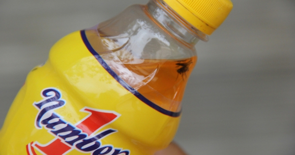 Lại phát hiện chai Number 1 có ruồi, Tân Hiệp Phát nói gì?