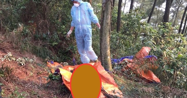 Đi chăn bò phát hiện thi thể trong bụi rậm ở Hà Tĩnh