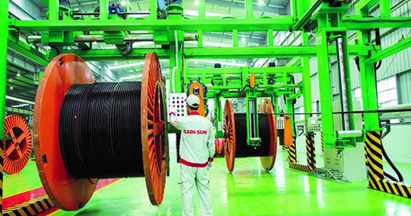 CADI-SUN tăng 24 bậc trong bảng xếp hạng Profit 500 Doanh nghiệp tư ...