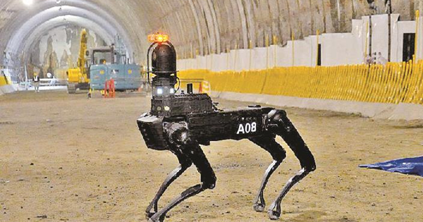 Quadruped walking robot for surveying and safety control at ...