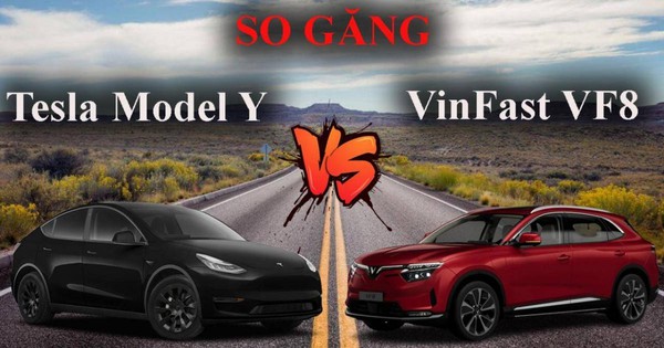 Infographic: "So găng" Tesla Model Y và VinFast VF8