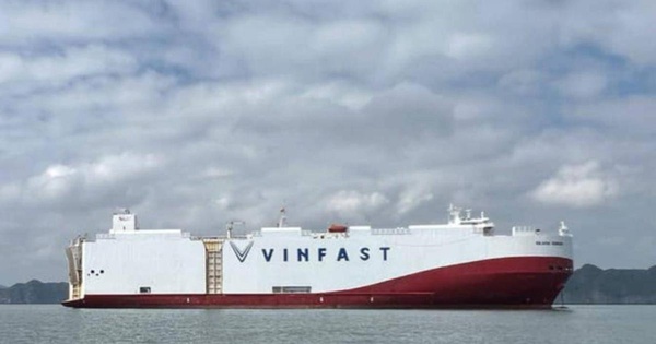 Tàu RO-RO chuyên chở ô tô có gì đặc biệt?